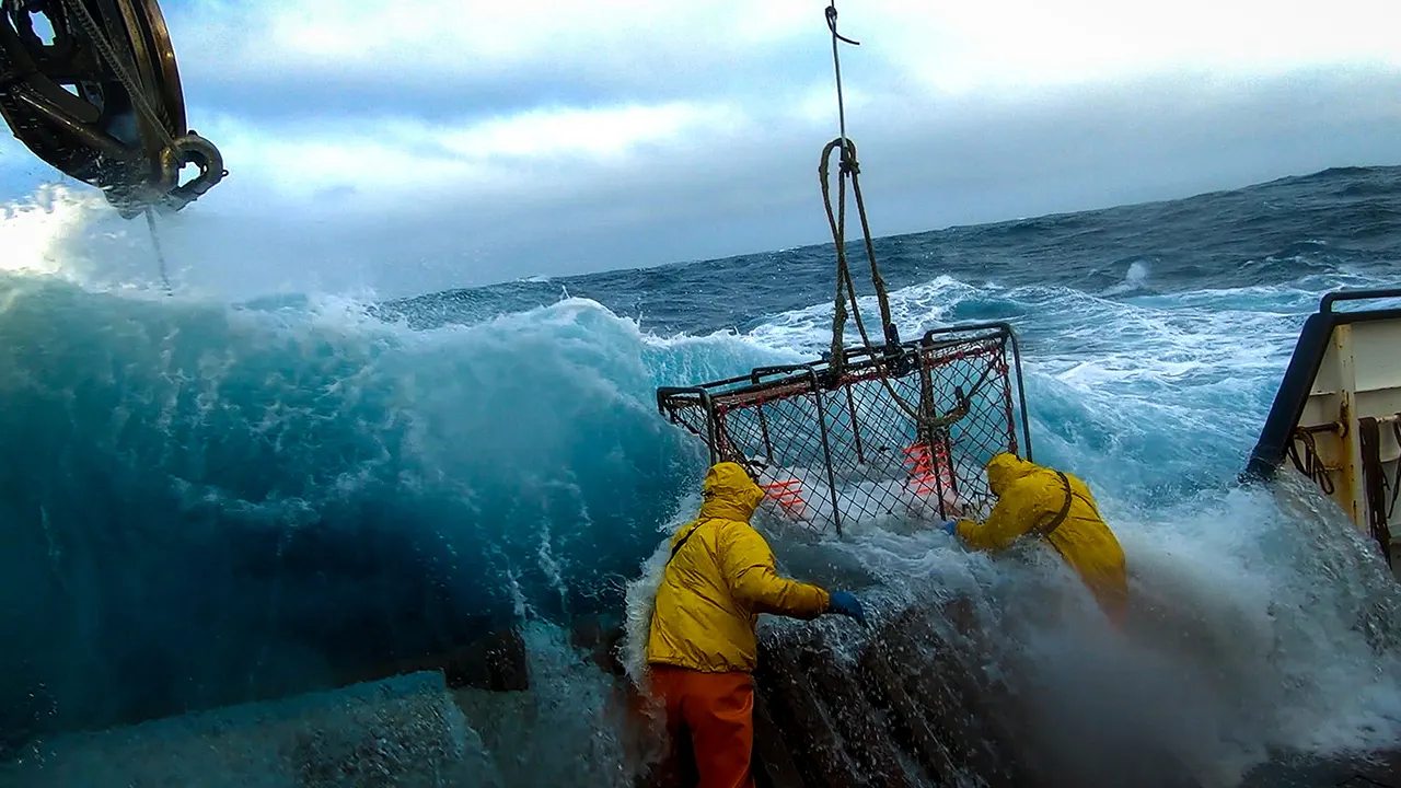 Discovery - Ads & Data